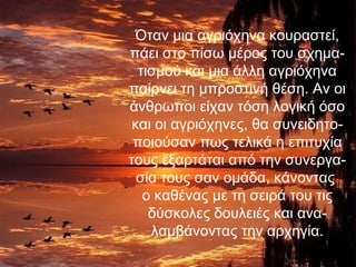 αγριόχηνες | PPS