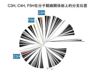 School Project | PPT