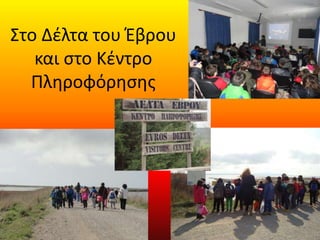 Ευέλικτη ζώνη δ' τάξης | PPT