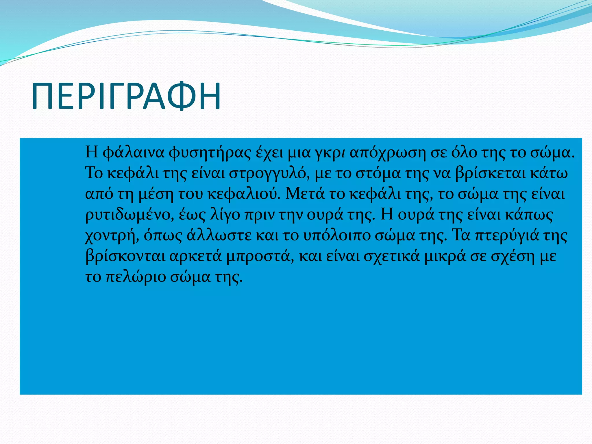 Φαλαινα Φυσητηρας | PPT