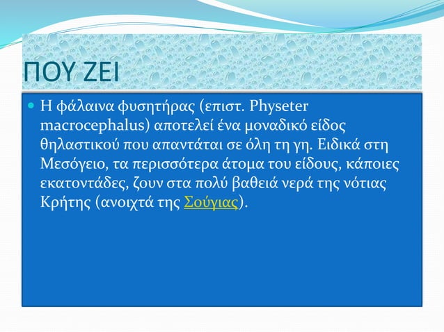 Φαλαινα Φυσητηρας | PPT