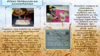 ας θυμηθούμε το χθες μέσα από τη λαϊκή μας παράδοση ιστολόγιο | PPSX