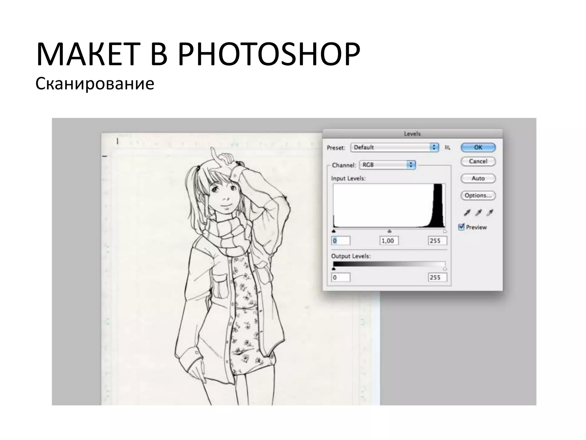 Hibari Club - Manga Studio - LayOuts | PPT