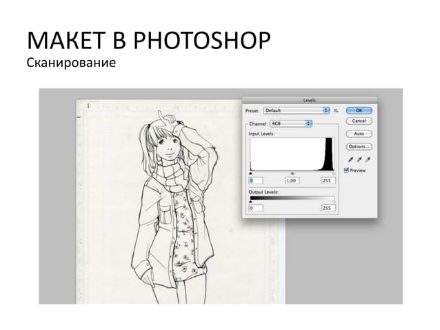 Hibari Club - Manga Studio - LayOuts | PPT