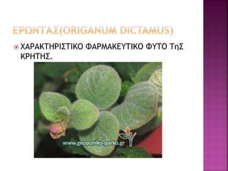 ενδημικα φυτα μεσσαρας | PPTX