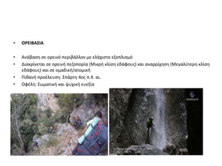 δράση και περιπέτειες στη φύση | PPTX