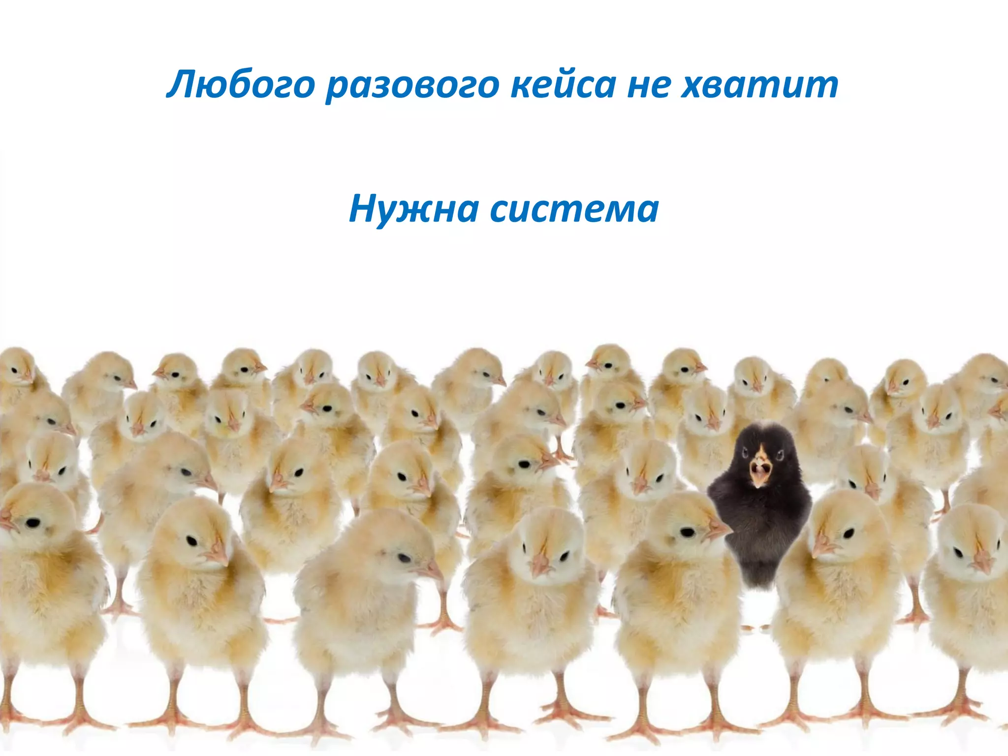 5 steps to real life | PPT