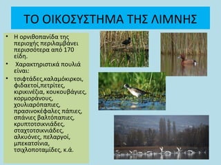 Η ΛΙΜΝΗ ΠΑΜΒΩΤΙΔΑ: ΠΑΡΟΥΣΙΑΣΗ ΤΟΥ ΠΡΟΓΡΑΜΜΑΤΟΣ | PPT