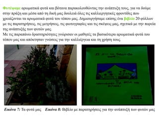 αρωματικά φυτά και βότανα κ. χάρτης (1) | PPTX