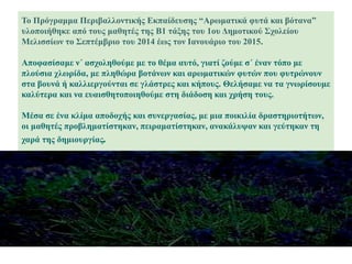 αρωματικά φυτά και βότανα κ. χάρτης (1) | PPT