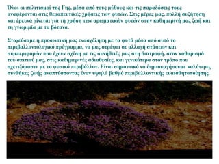 αρωματικά φυτά και βότανα κ. χάρτης (1) | PPT