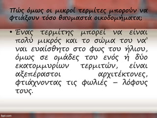 Ενότητα 13 - Περιγραφή φωλιάς τερμιτών | PPTX
