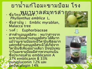 สอนการใช้สมุนไพรสำหรับนักเรียน | PPT