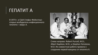 Гепатит: история открытия | PPT