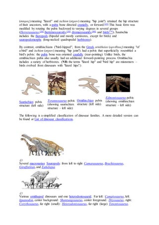 dinosaurs | DOCX | Reptiles | Pets