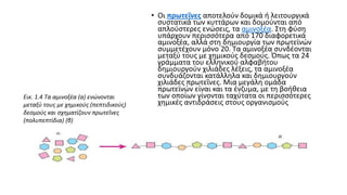 οργανωση ζωης βιολογικα συστηματα | PPTX