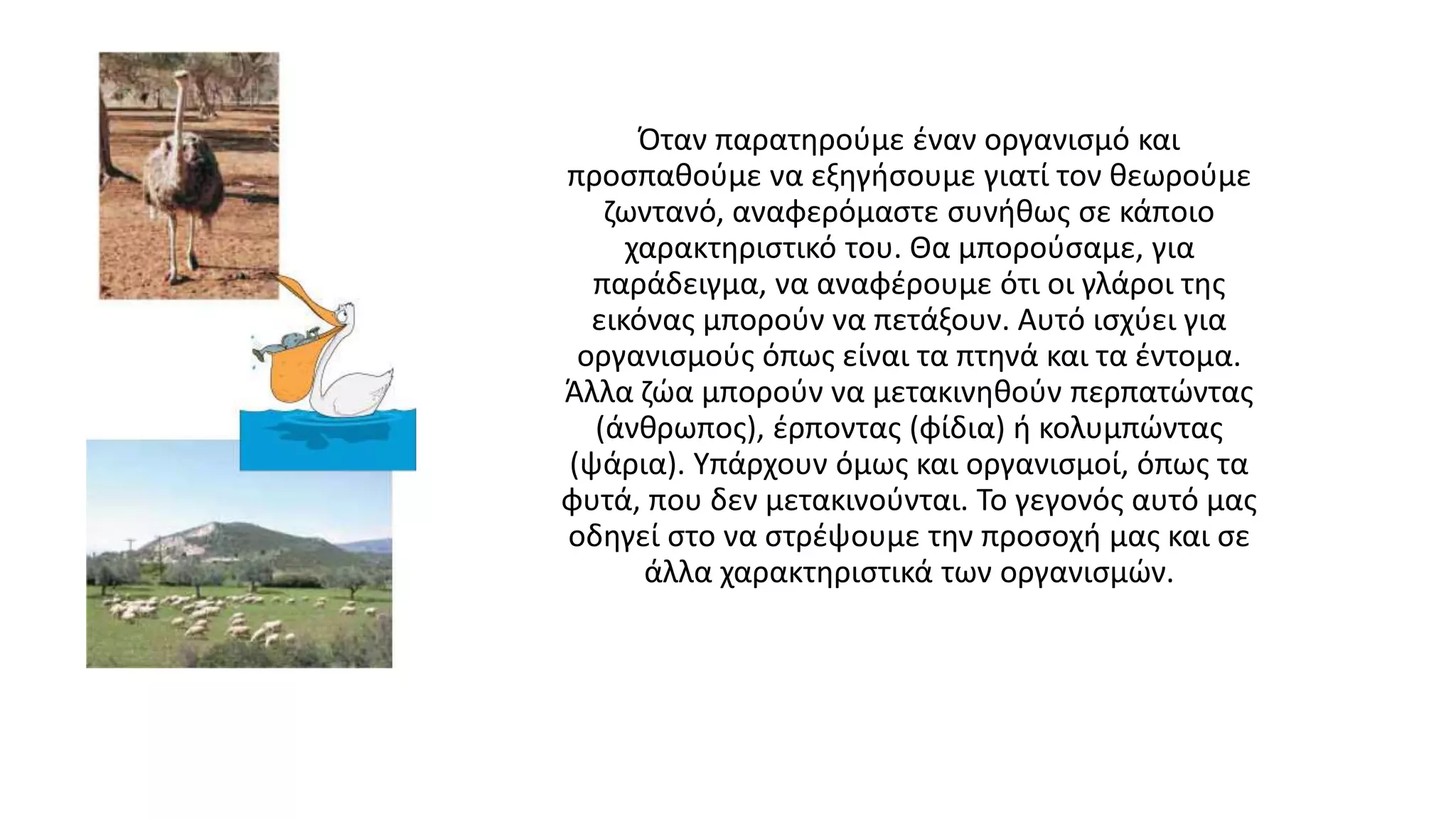 χαρακτηριστικα οργανισμων | PPTX