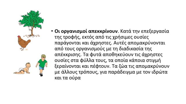 χαρακτηριστικα οργανισμων | PPTX
