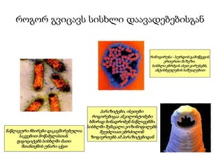 შინაგანი გარემო | PPTX