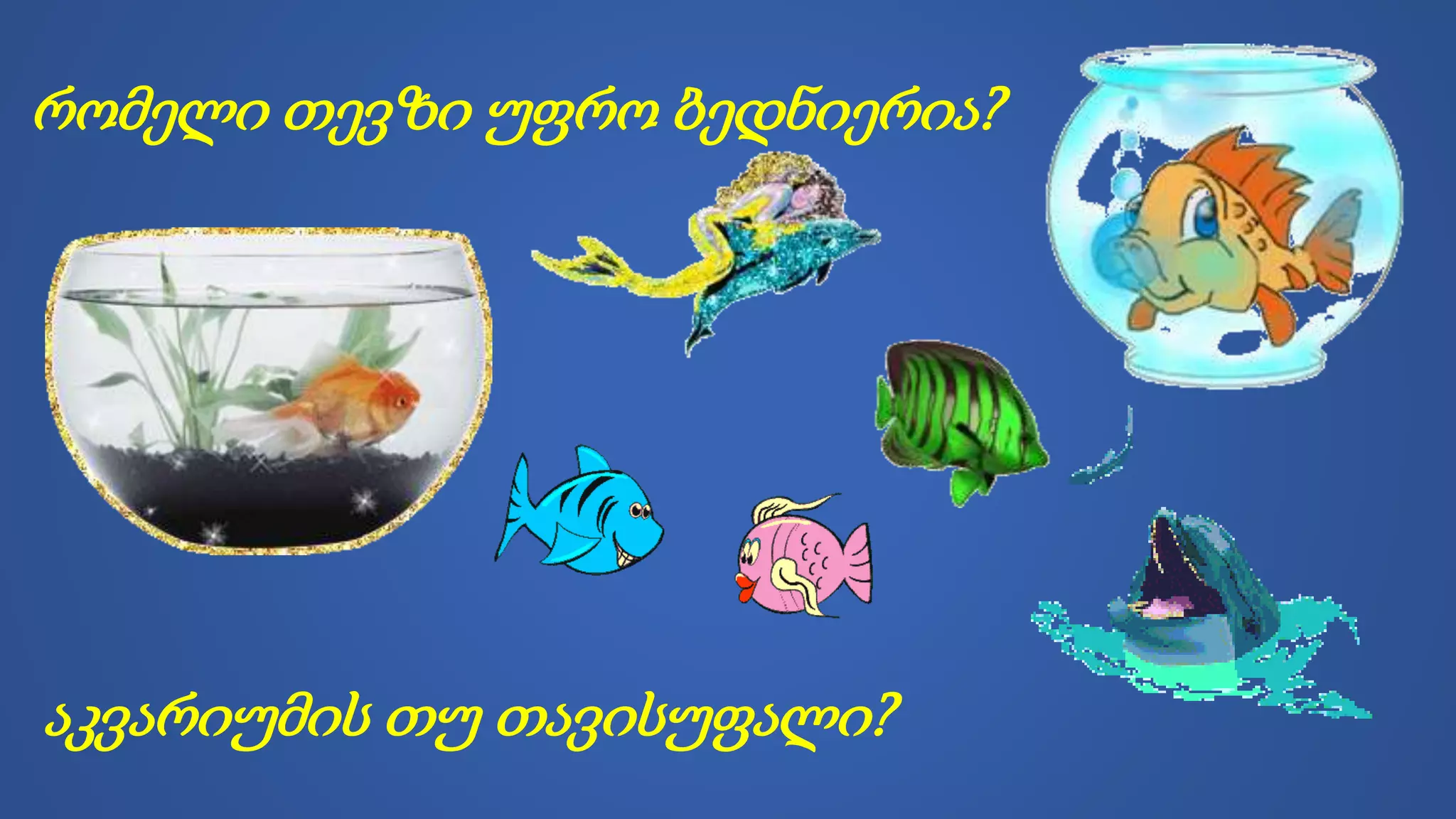 წყლის სამყარო | PPT