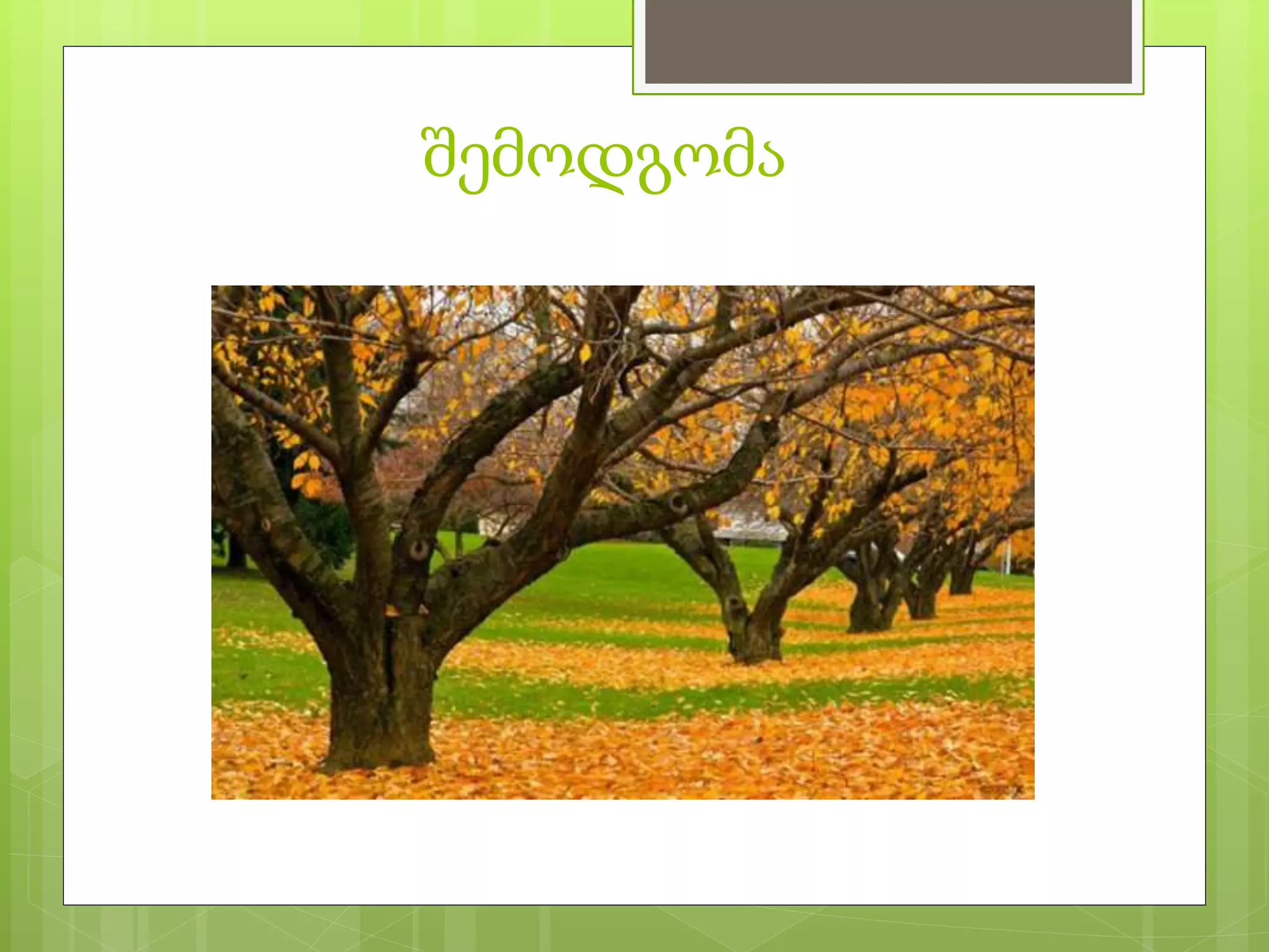 წელიწადის დროები | PPT