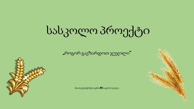 სასკოლო პროექტი როგორ გავზარდოთ ჯეჯილი Ppt