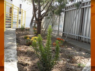 προγραμμα περιβαλλοντικης | PPT