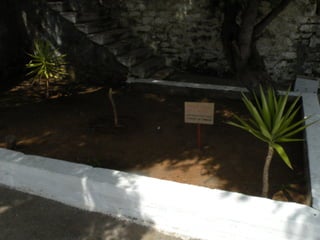 προγραμμα περιβαλλοντικης | PPT