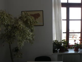 προγραμμα περιβαλλοντικης | PPT