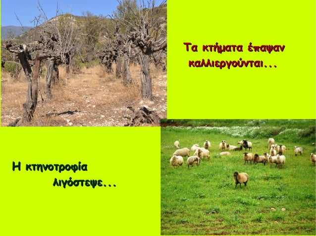 ΟΙ ΕΛΛΗΝΕΣ ΔΗΜΙΟΥΡΓΟΥΝ ΑΠΟΙΚΙΕΣ | PPT