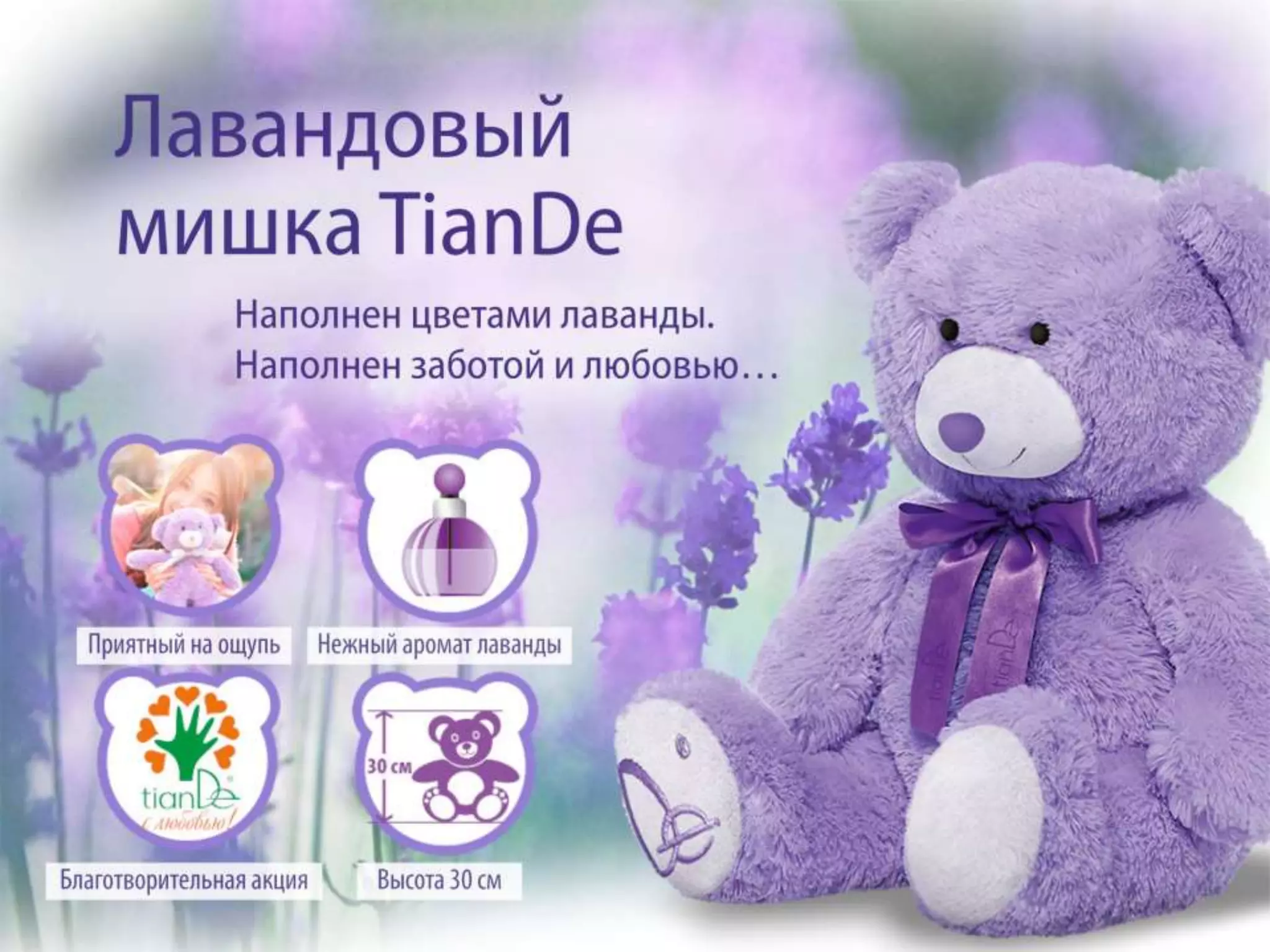 Лавандовый мишка | PPT