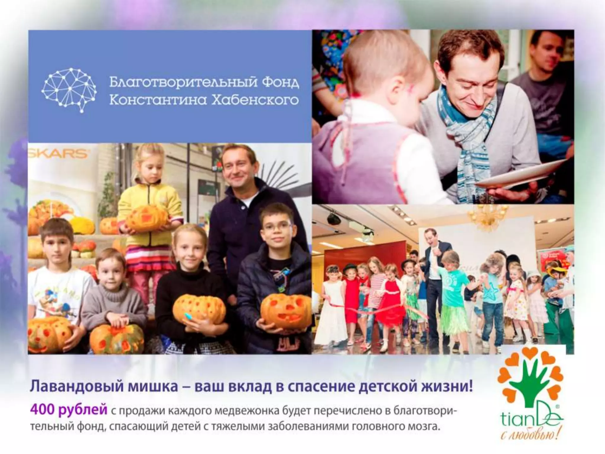 Лавандовый мишка | PPT