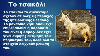 φυσικό περιβάλλον | PPT