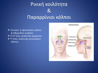 ΡΙΝΟΠΑΡΑΡΡΙΝΟΚΟΛΠΙΤΙΔΑ & ΡΙΝΙΚΟΙ ΠΟΛΥΠΟΔΕΣ | PPTX