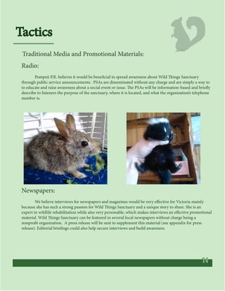 Wild Things Sanctuary Advertising Campaign | PDF