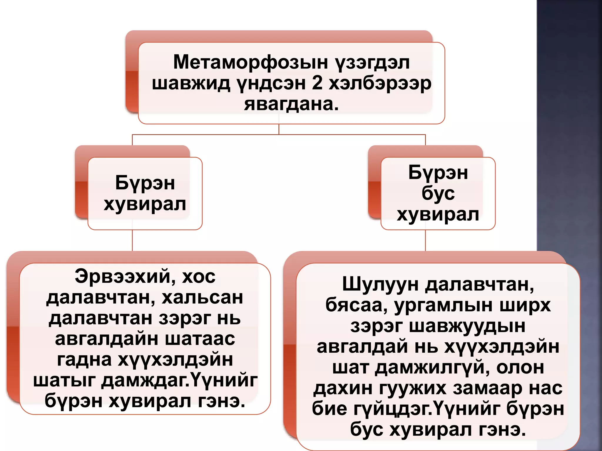 онтогенез-нэгэн биеийн хөгжил | PPTX