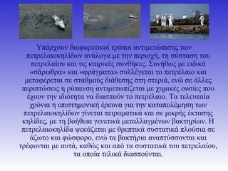 πετρελαιοκηλιδες | PPT