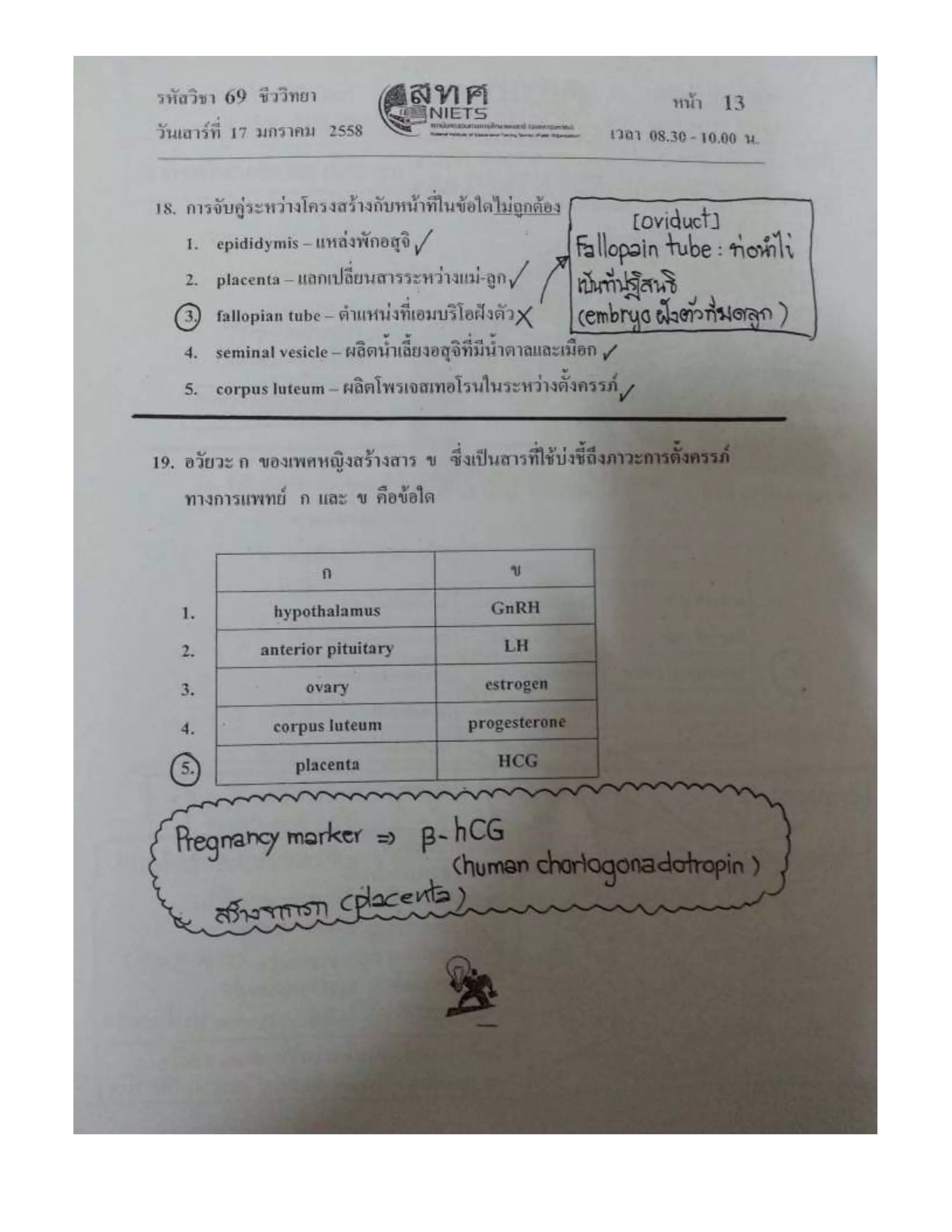 เฉลย กสพท. ชีววิทยา 2558 | PDF