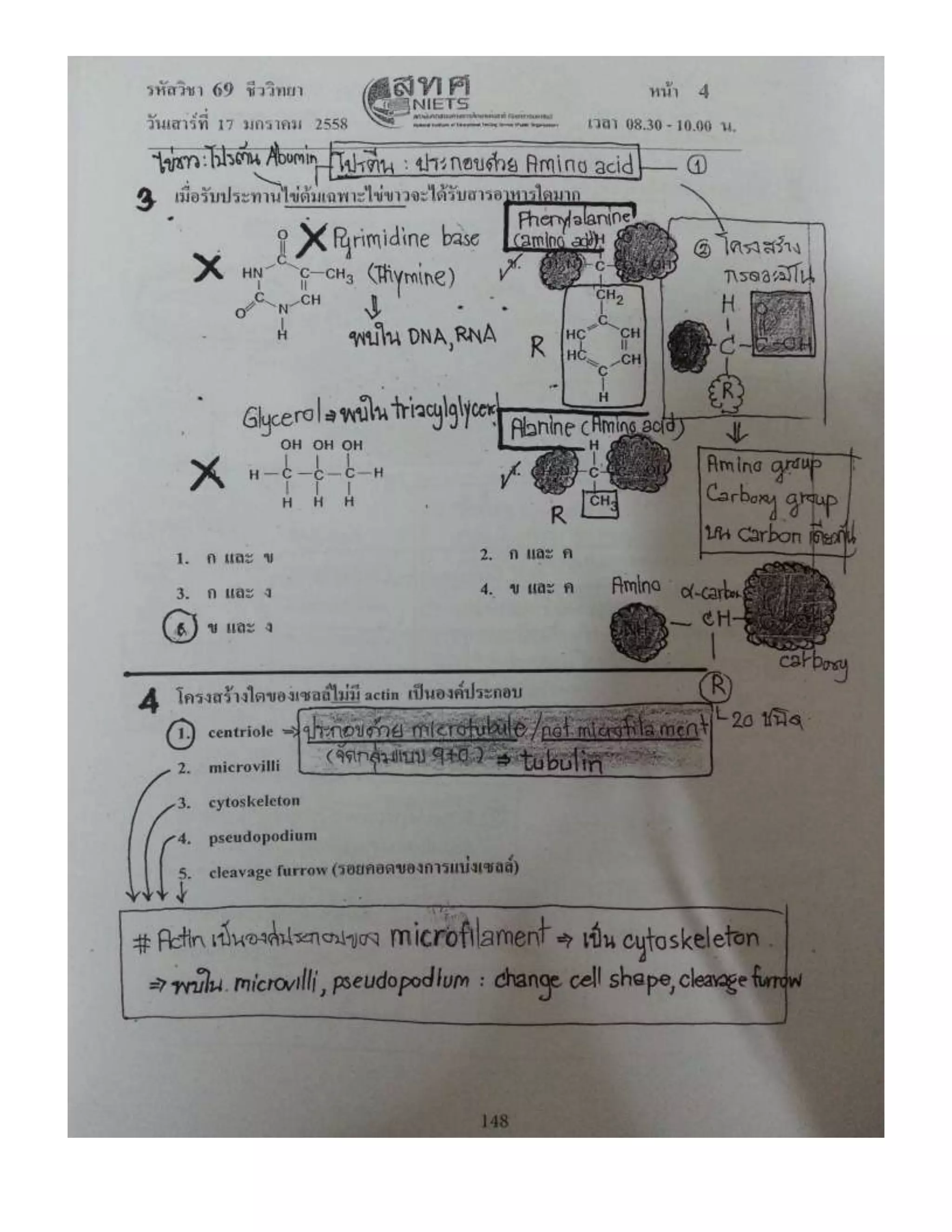เฉลย กสพท. ชีววิทยา 2558 | PDF