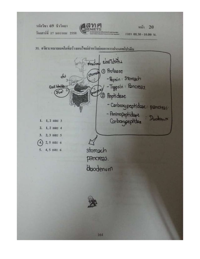 เฉลย กสพท. ชีววิทยา 2558 | PDF