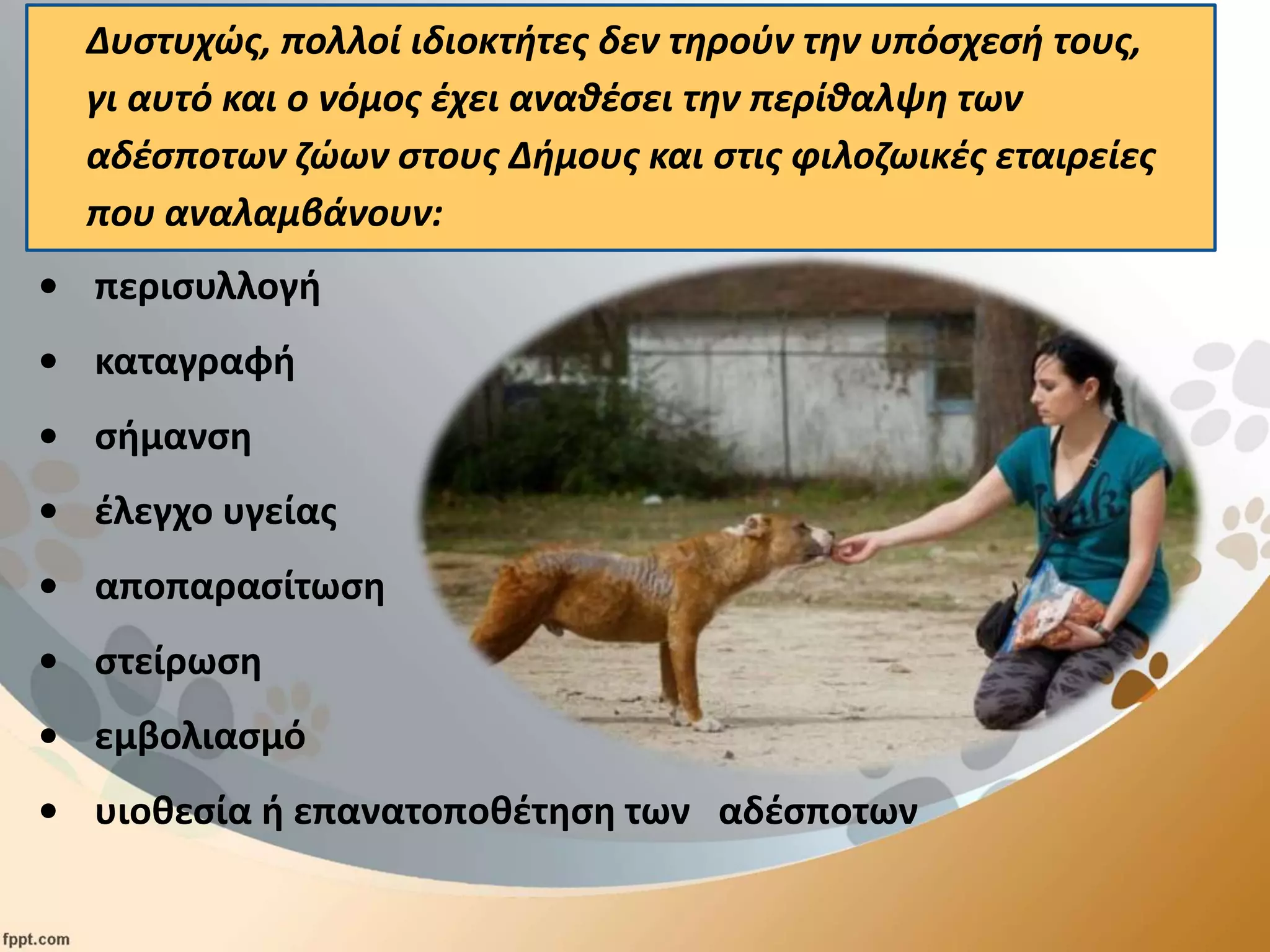 Αδέσποτα ζώα | PPTX