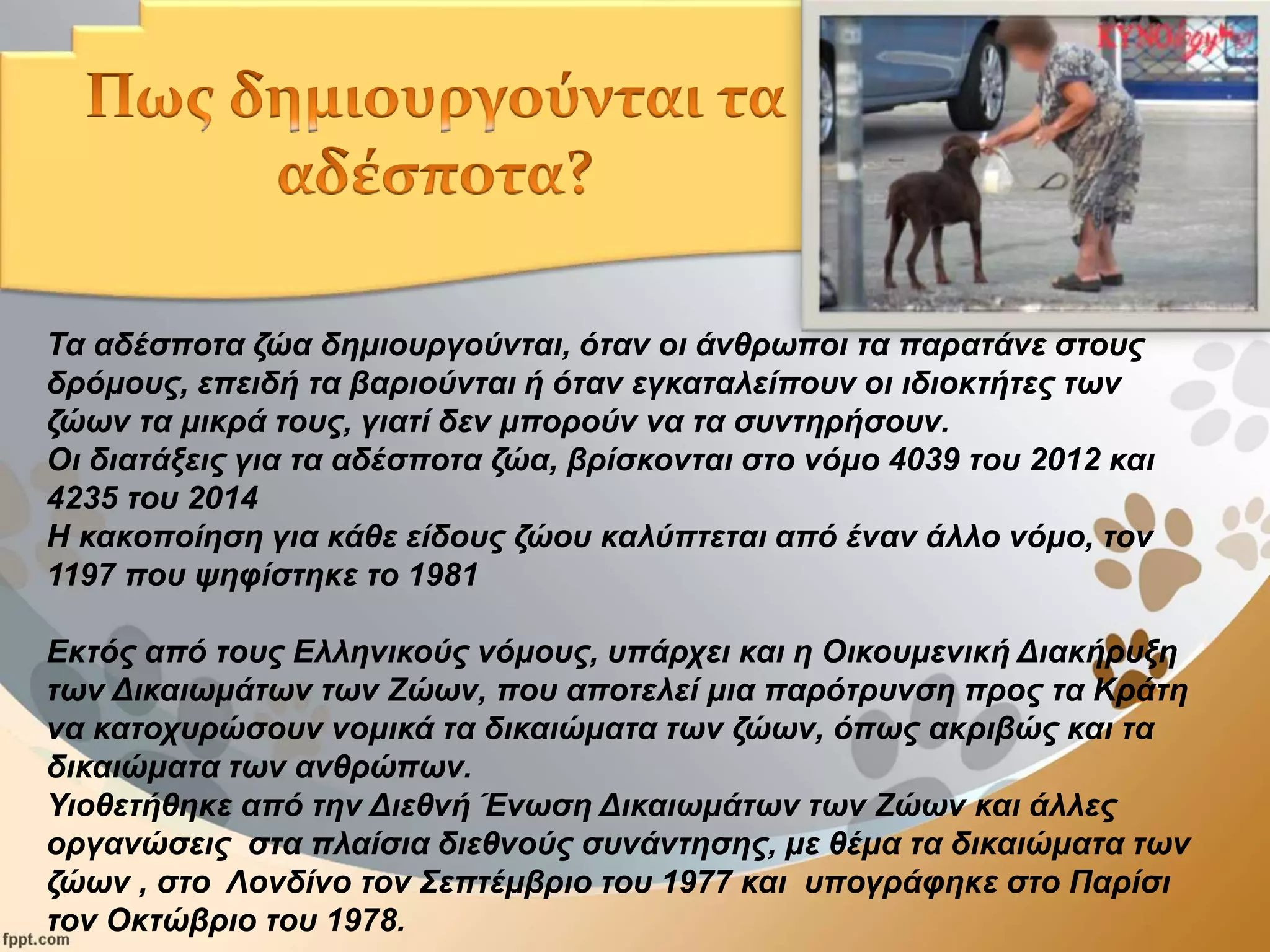 Αδέσποτα ζώα | PPTX