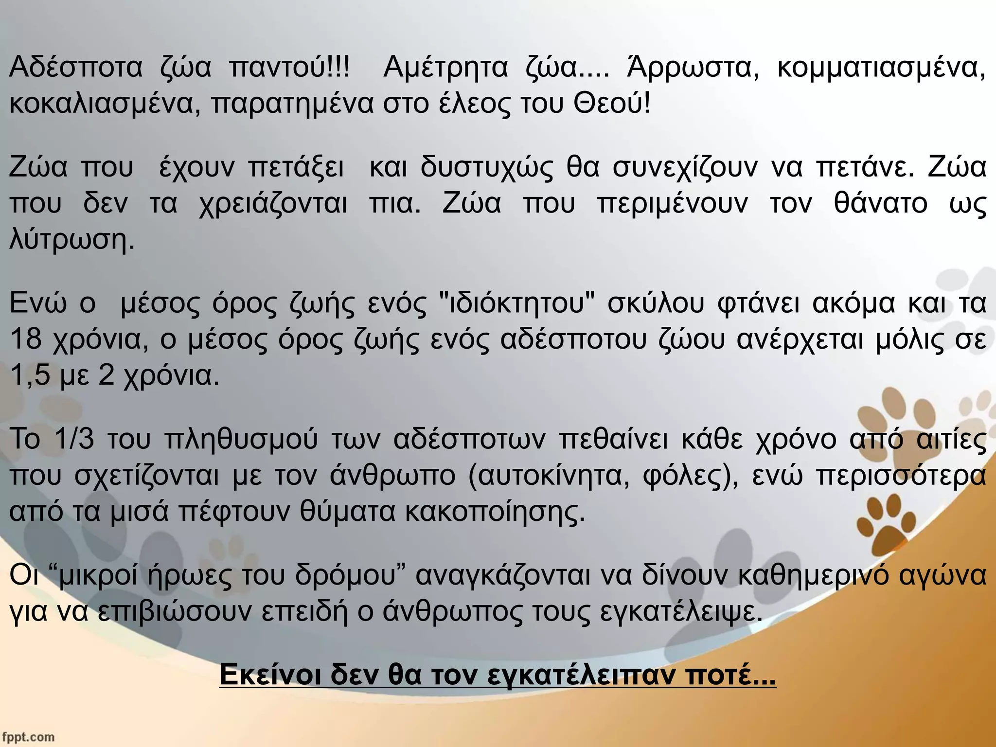 Αδέσποτα ζώα | PPTX