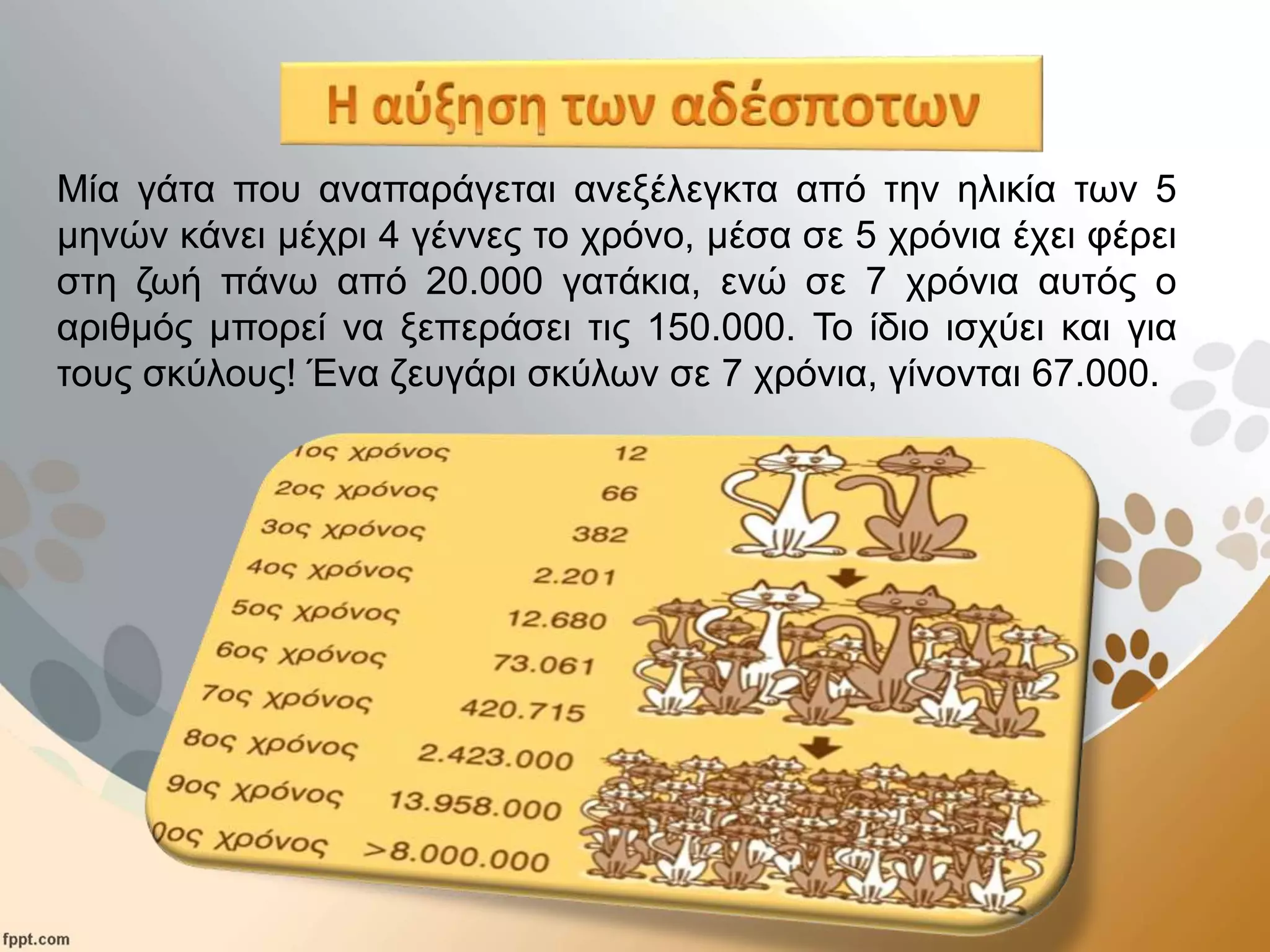 Αδέσποτα ζώα | PPTX