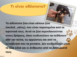 Αδέσποτα ζώα | PPTX