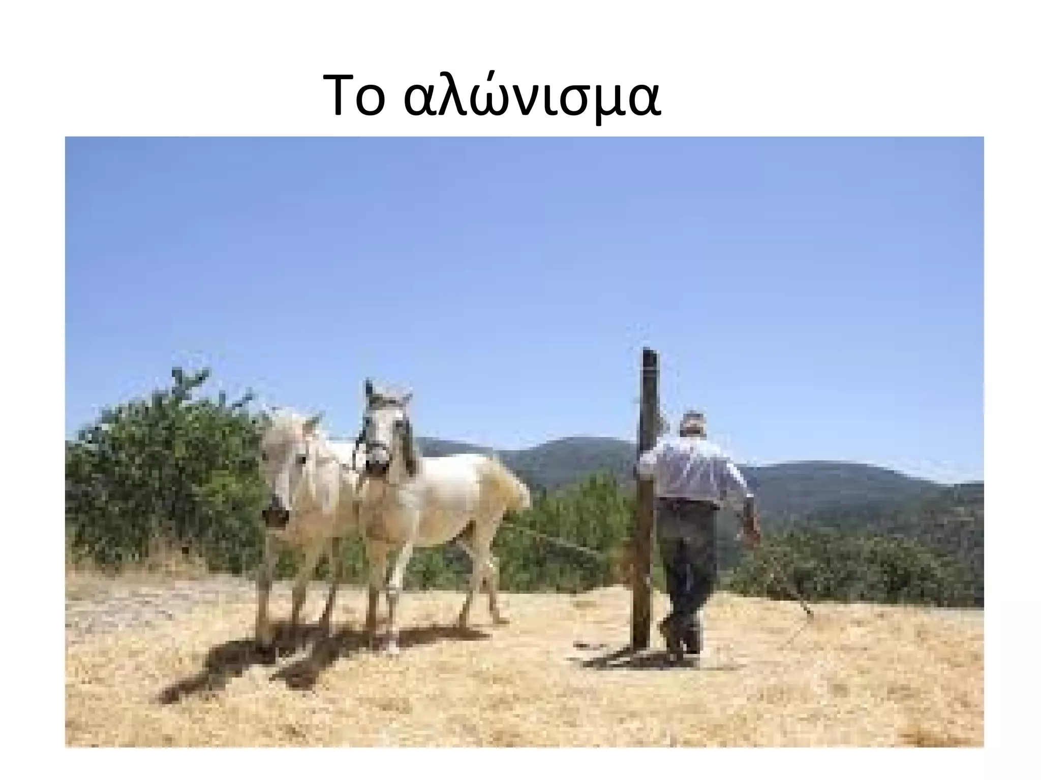ο κύκλoς του ψωμιού | PPT
