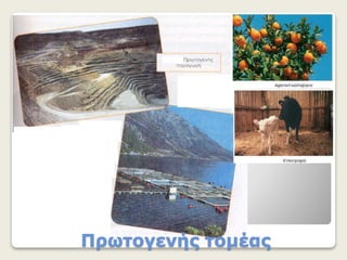 Τομείς παραγωγής | PPTX