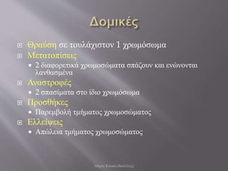 Καρυοτύπιση - karyotype | PPT