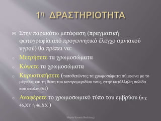 Καρυοτύπιση - karyotype | PPTX