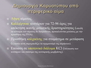 Καρυοτύπιση - karyotype | PPT
